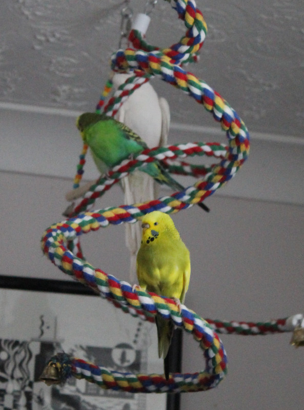 20240617130404 IMG 3458 — Postimages