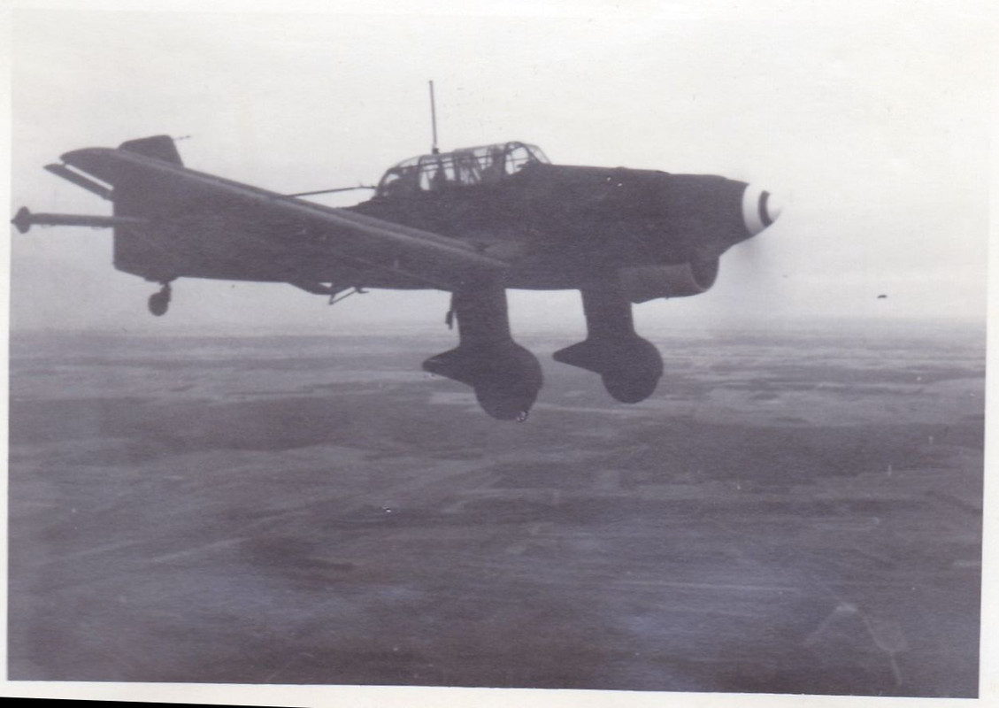 IMG 003 — Postimages