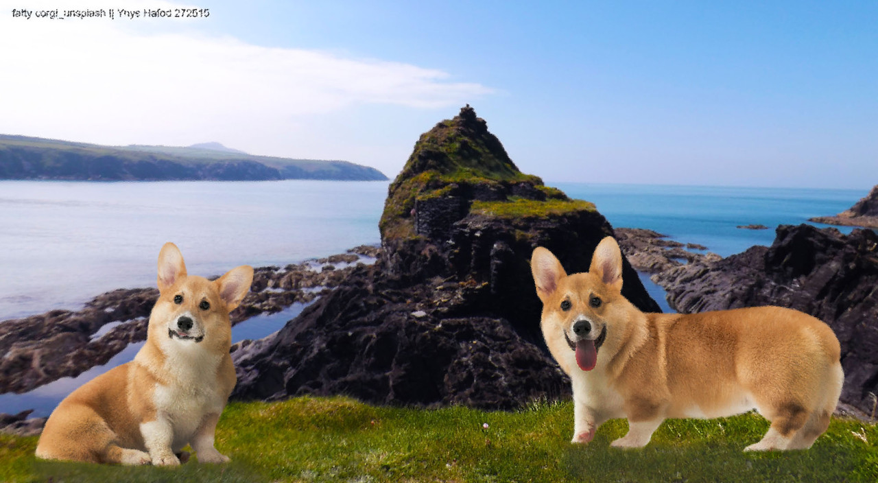 Corgi bio crystalize — Postimages