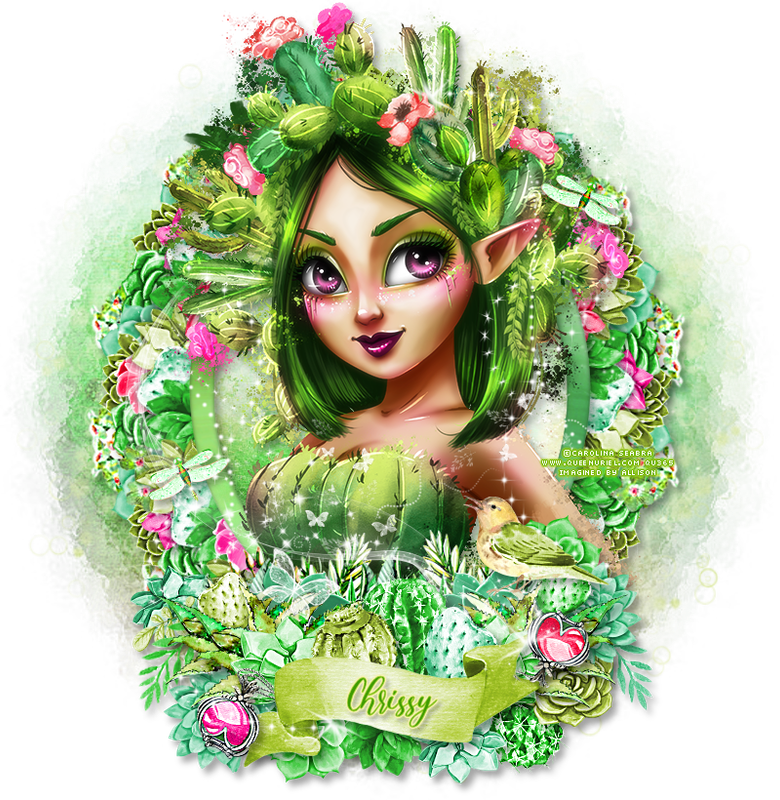 Allison cactus girl Chrissy — Postimages