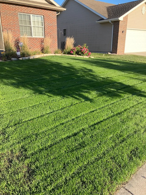 Seeding Rye Grass | Lawn Care Forum