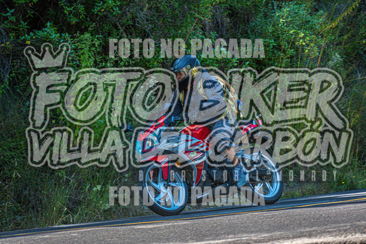 C1 P1 (141) — Postimages