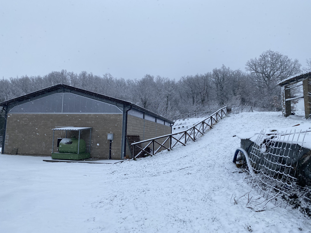 87 DE4 DAE 5 D2 A 402 C B658 2 FF3 EBF67665 — Postimages