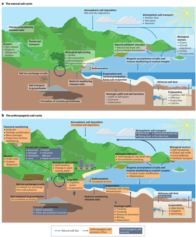 University of Maryland: Humans Are Disrupting Natural 'Salt Cycle' on a ...