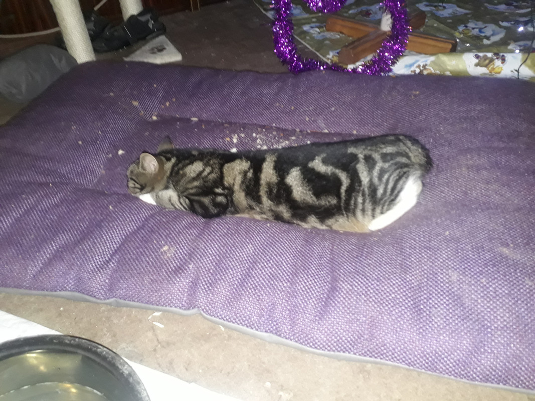 20230101 173107 — Postimages