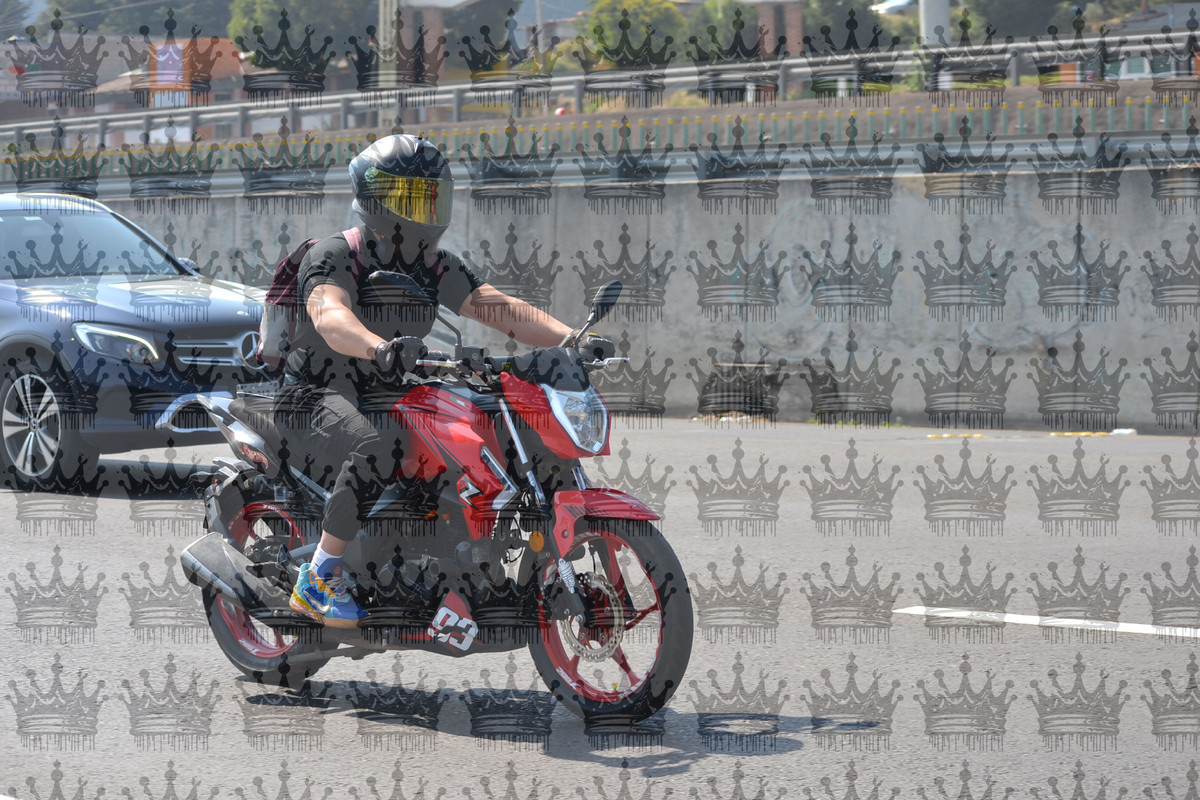 DSC 1011 — Postimages