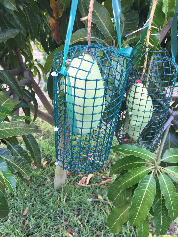 IMG 2116 — Postimages