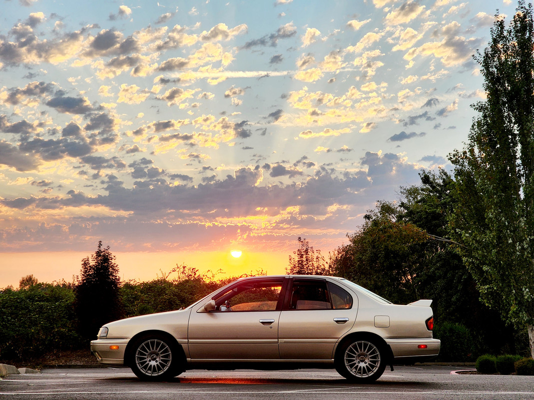 20241127 103803 — Postimages