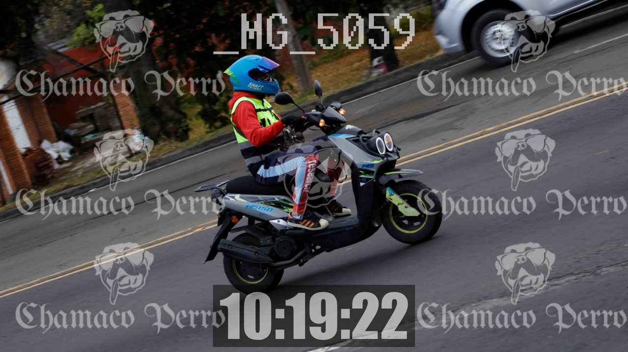 MUESTRA MG 5059 — Postimages