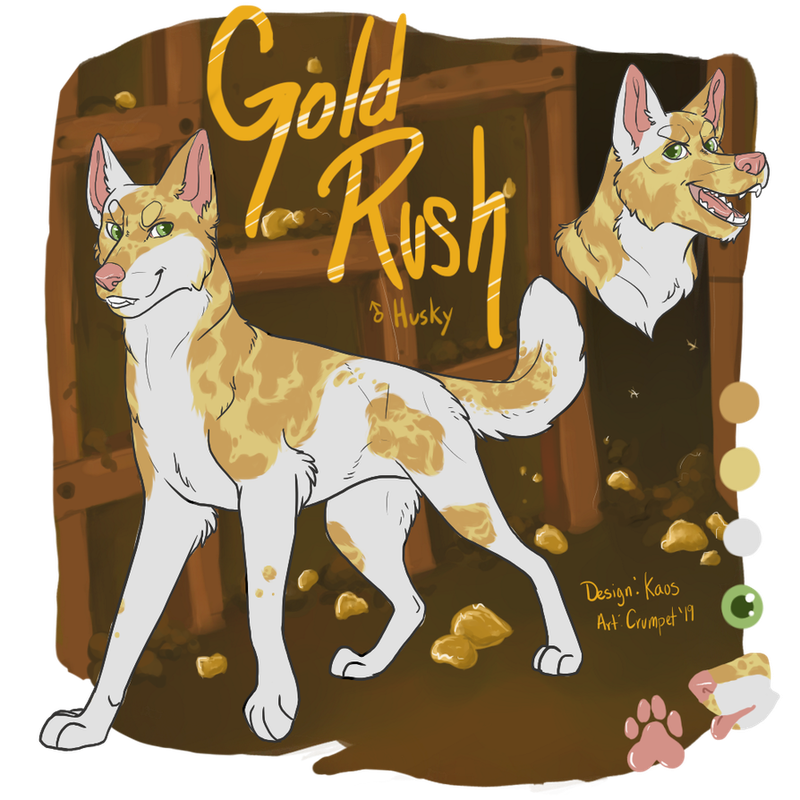 jjhunter goldrush referencesheet by kneitime — Postimages