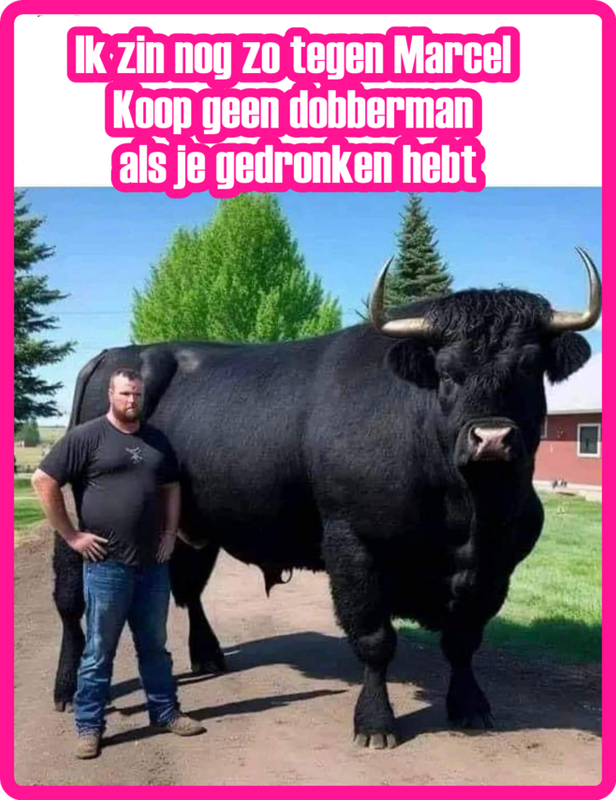 VEBu DS3 TP0 Pc — Postimages