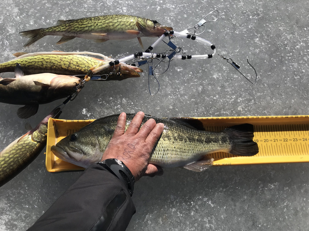 EC33877 B C83 E 4660 A26 F E261 BC731 D14 — Postimages