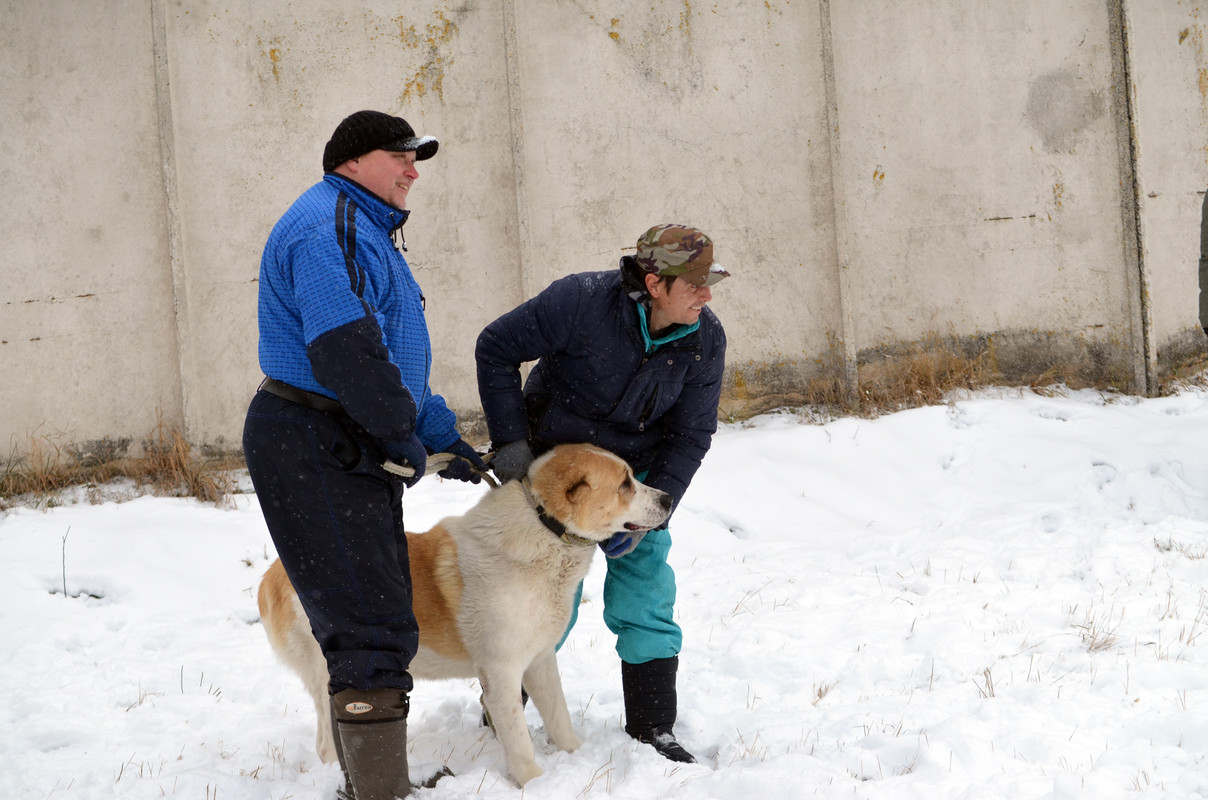 DSC 0252 — Postimages