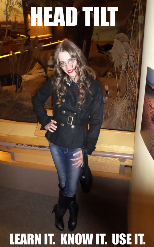 Head Tilt — Postimages