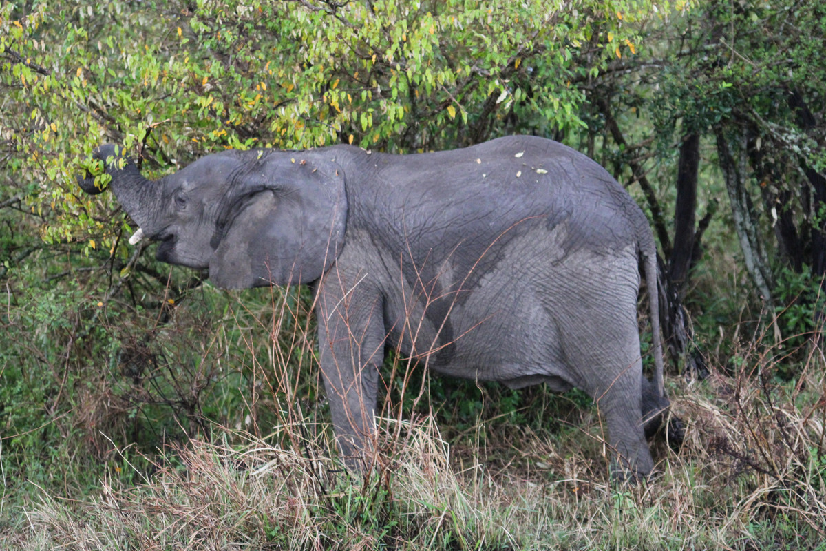 IMG 9473 — Postimages