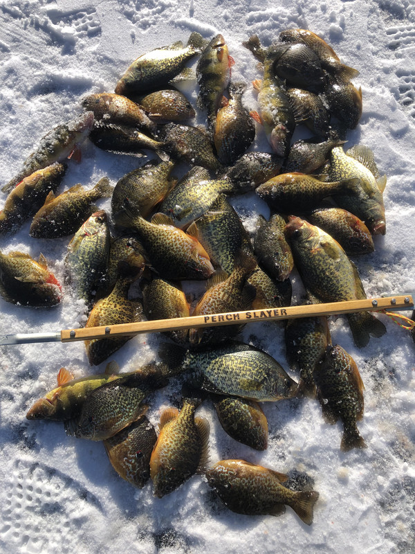 IMG 0801 — Postimages