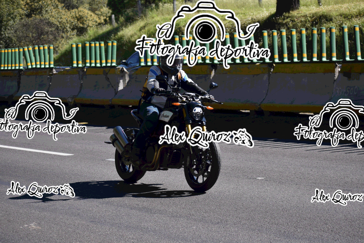 AVQ 8239 — Postimages