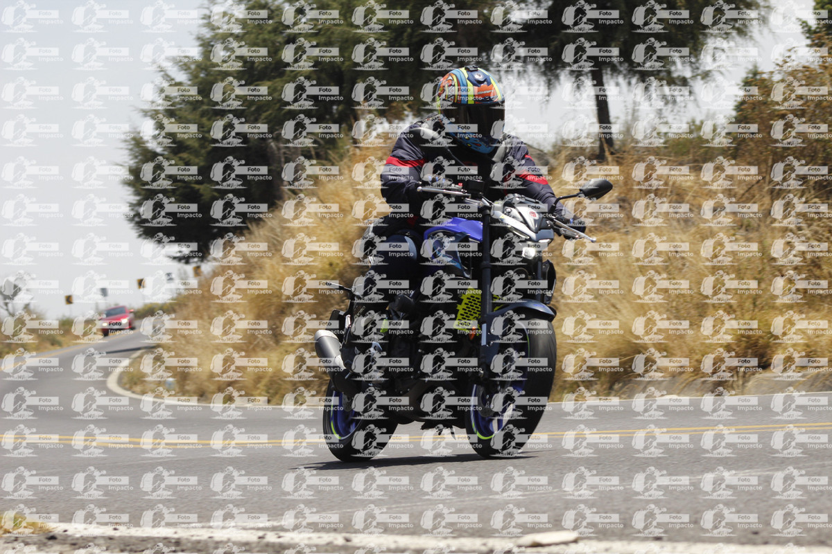 MG 0438 — Postimages