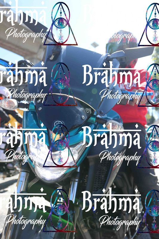 IMG 3941 — Postimages