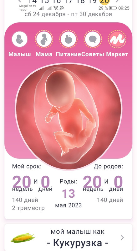 upload 2022 12 24 09 41 07 324 — Postimages