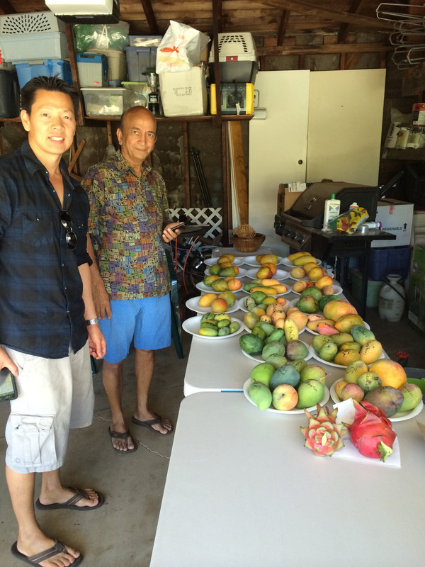 IMG 3964 — Postimages