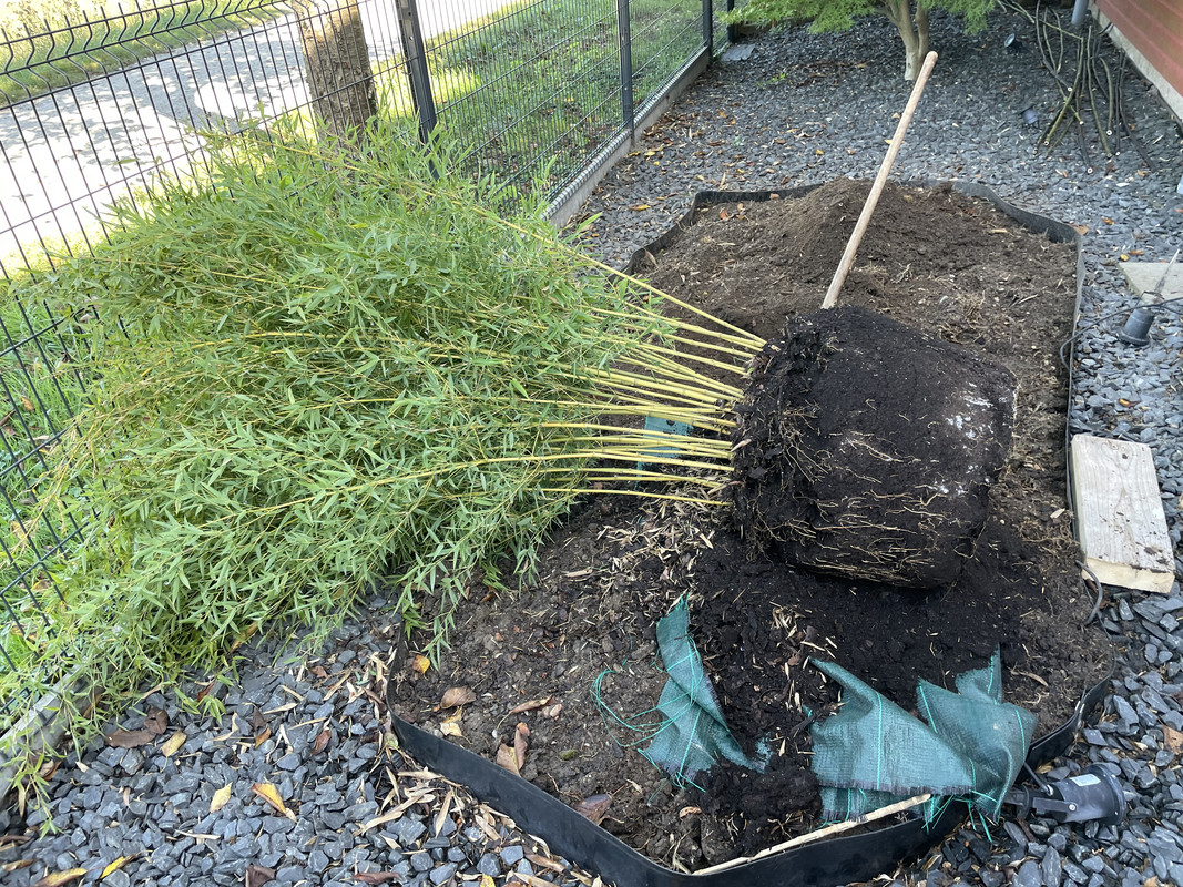 IMG 9496 — Postimages