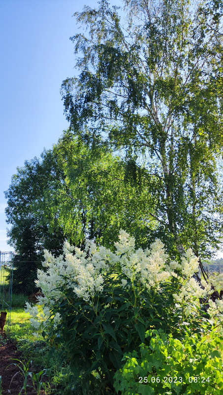 IMG 20230625 214836 908 — Postimages