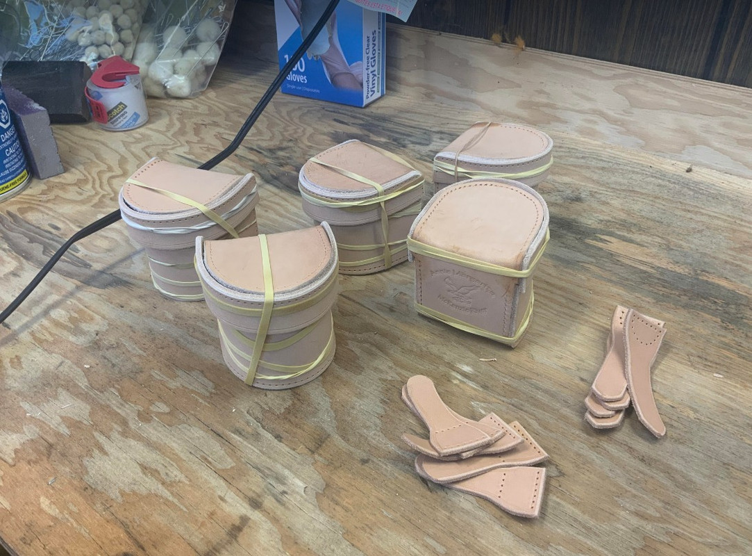 Annie Margarita Cases — Postimages