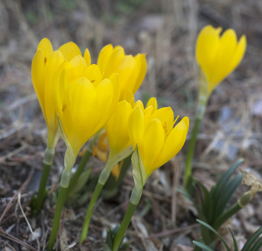 MG 1666 FORO — Postimages