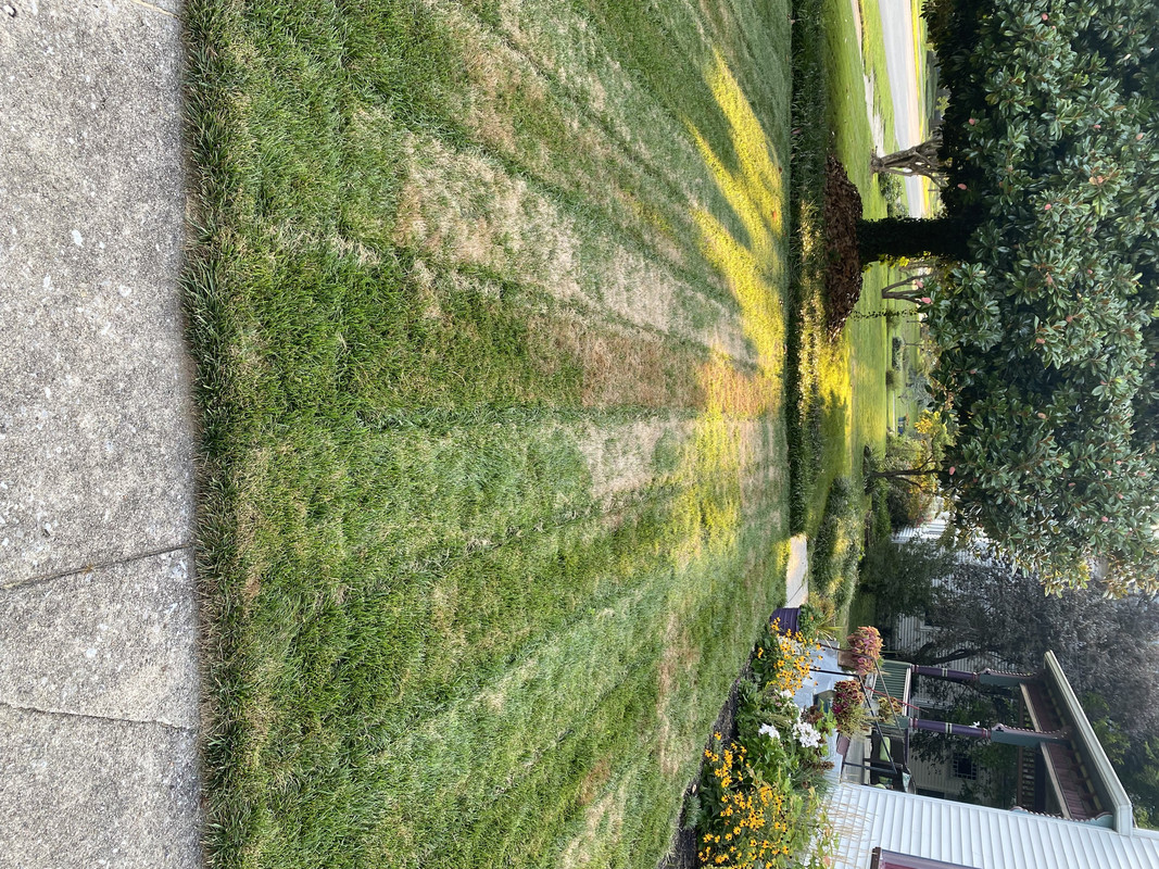 Lawn Photo1 — Postimages