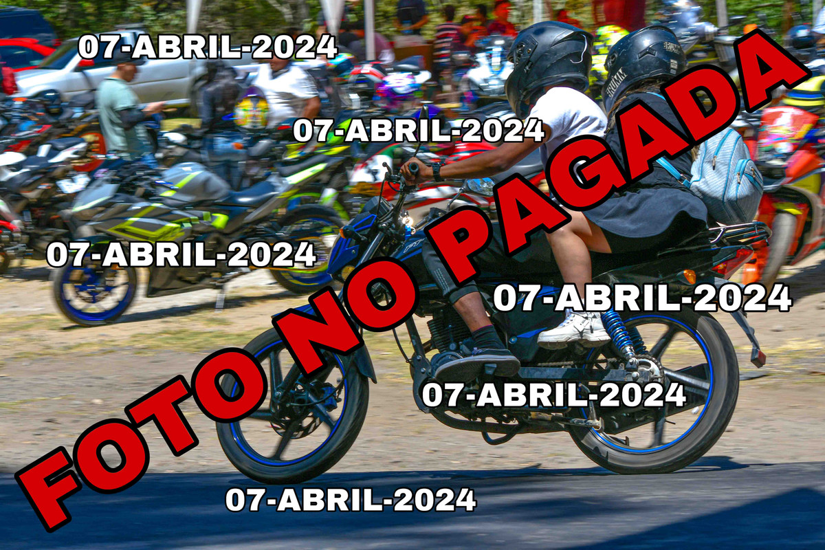 CC 3036 — Postimages