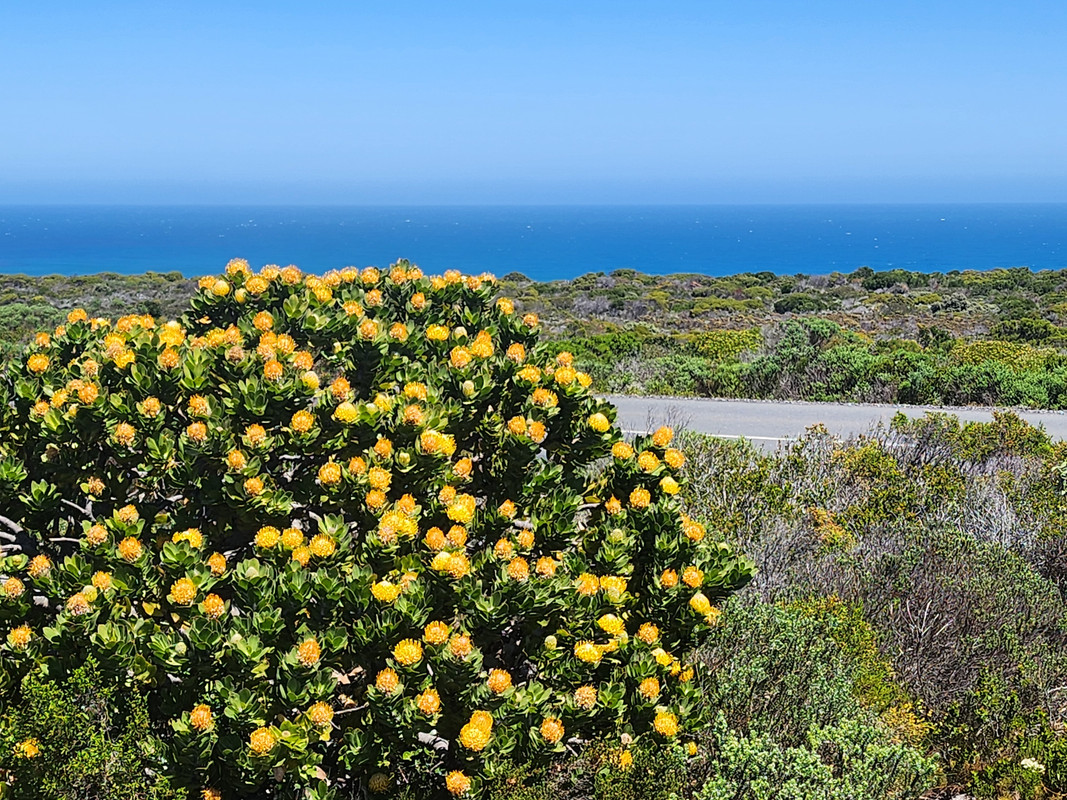 20241111 133455 — Postimages