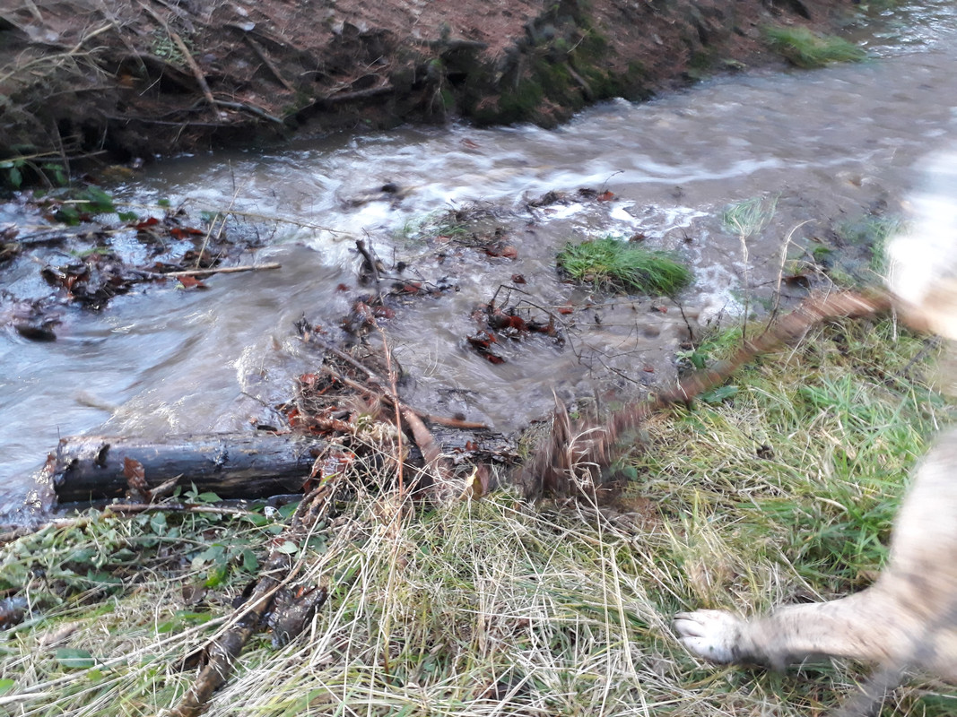 20221224 145047 — Postimages