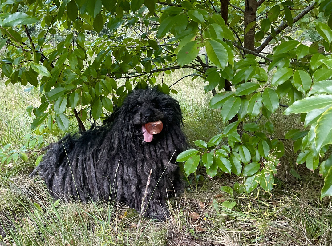 IMG 9004 — Postimages