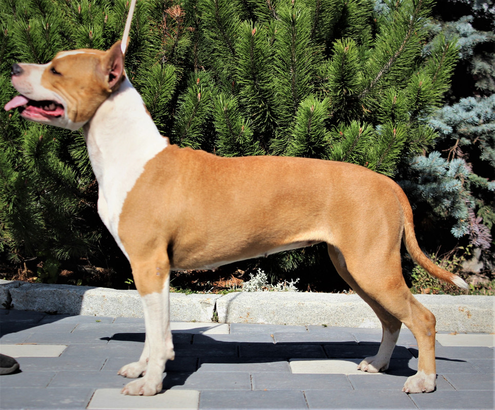 IMG 0263 — Postimages