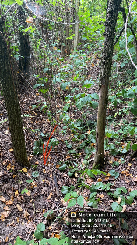 D03 BA2 AA EB3 A 4 D95 B767 6 E1925953 B03 — Postimages