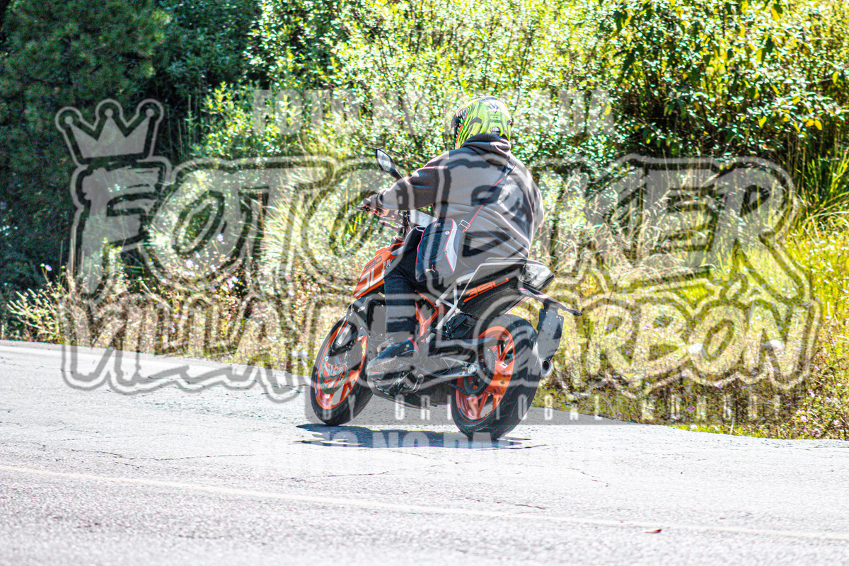 CV 108 — Postimages