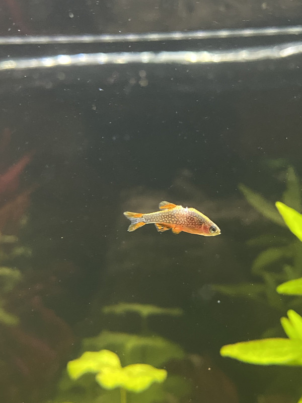 IMG 8024 — Postimages