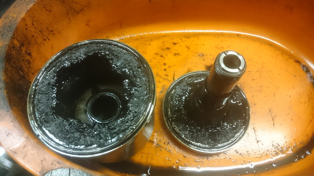 DSC 0303 — Postimages