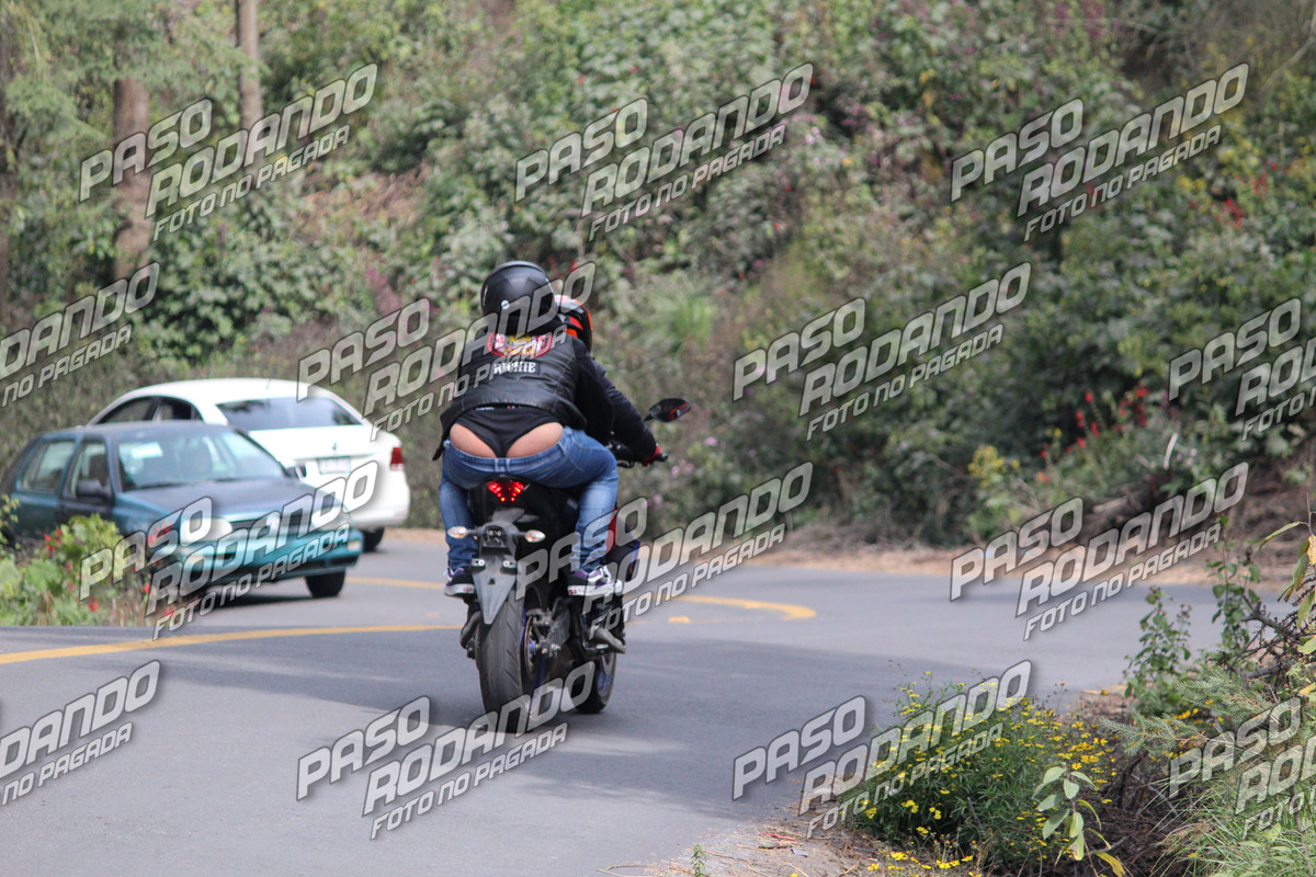 IMG 1416 wm 1109155 9000000004 watermarked — Postimages