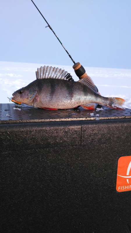 DSC 0159 — Postimages