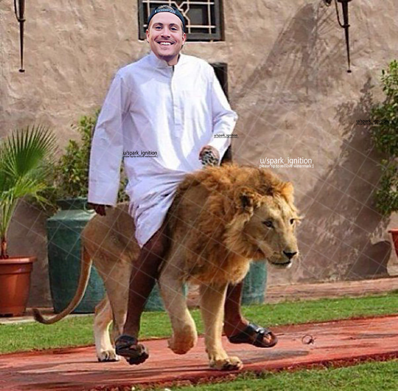 arab cat — Postimages