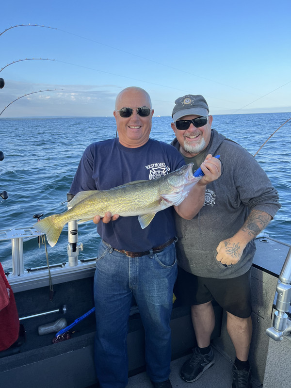 IMG 8855 — Postimages