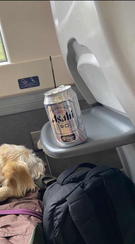 IMG 8098 — Postimages