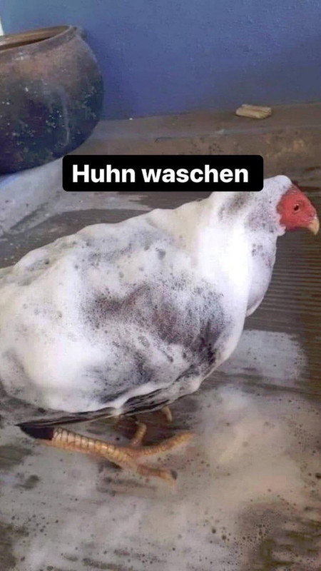 Ger Ci IIXYAAt4ce — Postimages