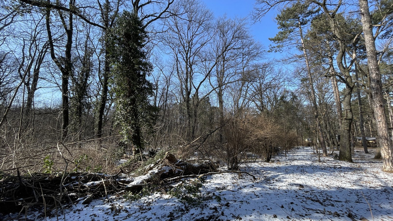 IMG 1847 — Postimages