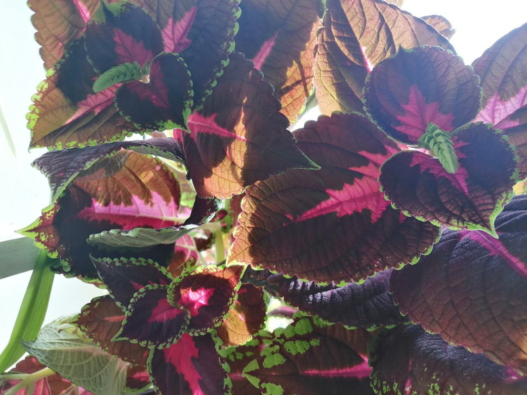 photo 2024 04 14 18 42 48 — Postimages