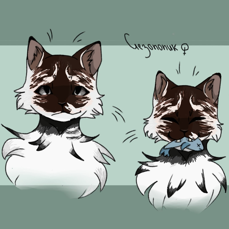 411lie1r Ts U 1 — Postimages