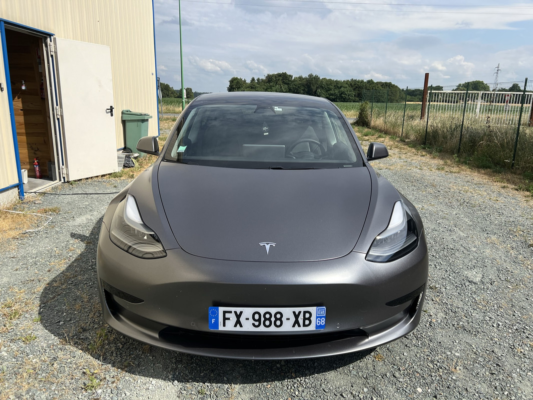 IMG 6010 — Postimages