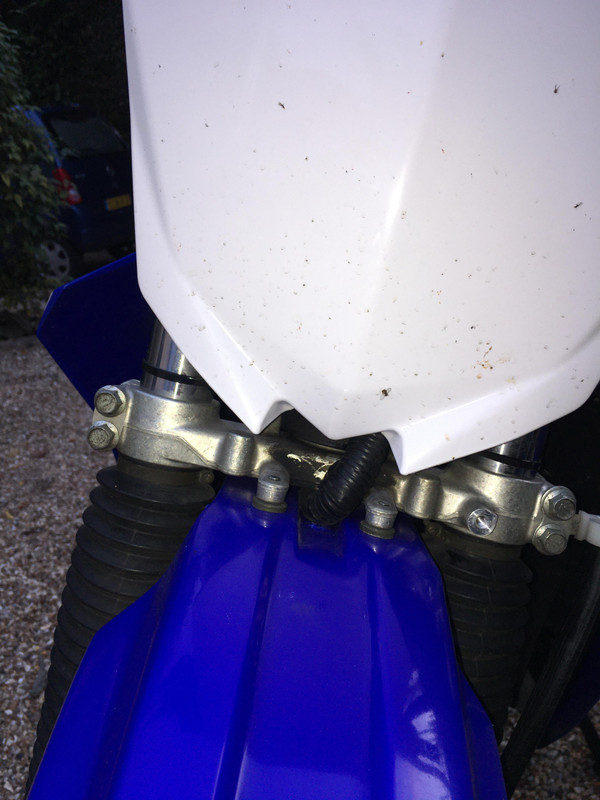 74682769 422657721960692 8481403104892289024 n — Postimages